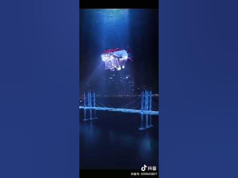 Grand opening ceremony of Hong Kong to Macau Bridge. Such incredible ...