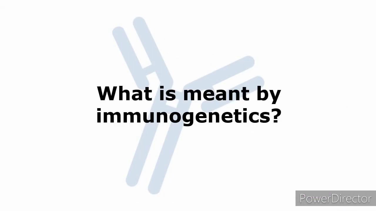 What Is Immunogenetics - YouTube