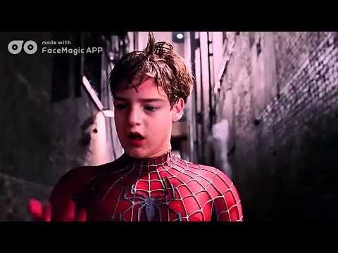 Spiderman Mir salih