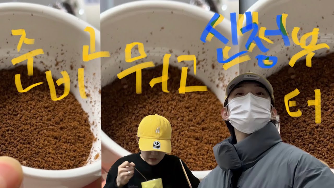 워홀 갈래퇴근 후 숙제 신청만 하면 가는 거 아녀 바리스타 Vlog 호주 워킹 홀리데이 비자 신청