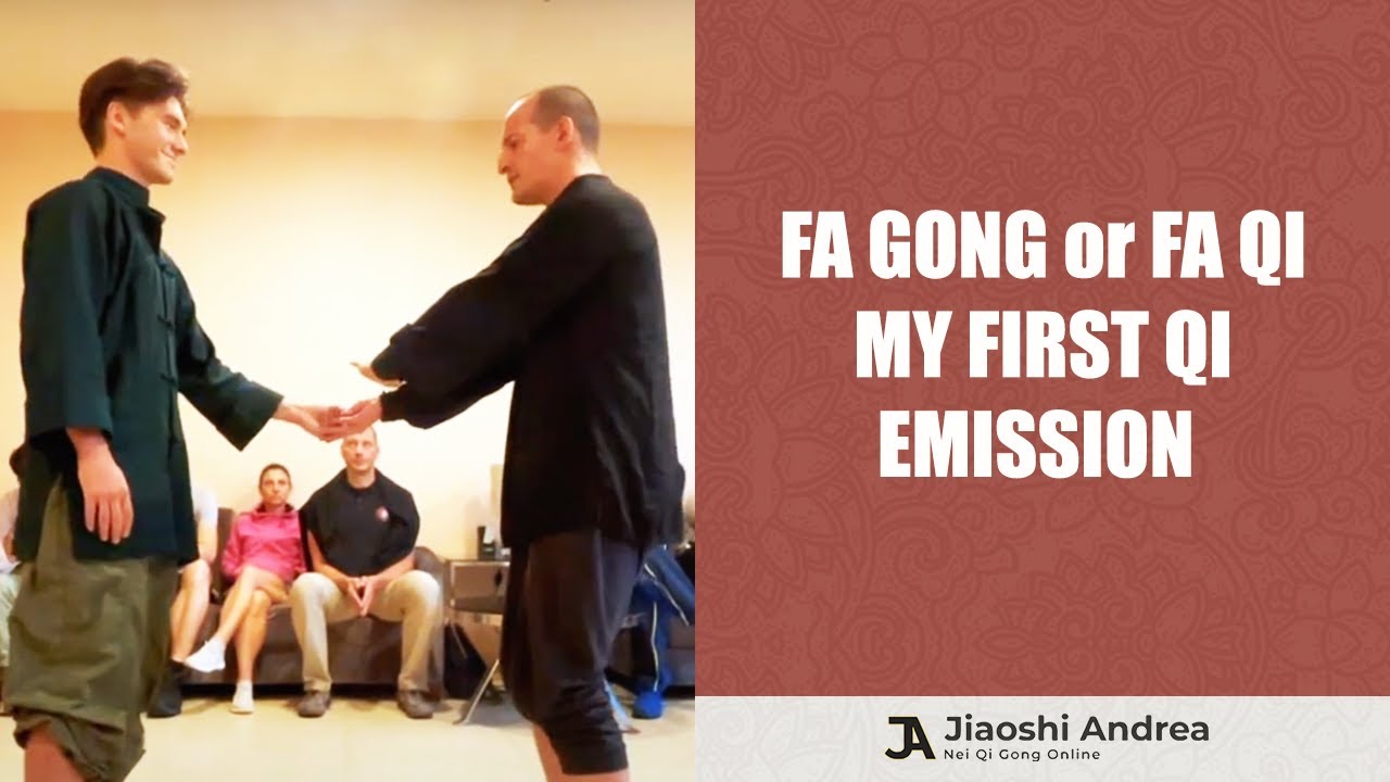 My First FA GONG or FA QI - QI DEMONSTRATIONS