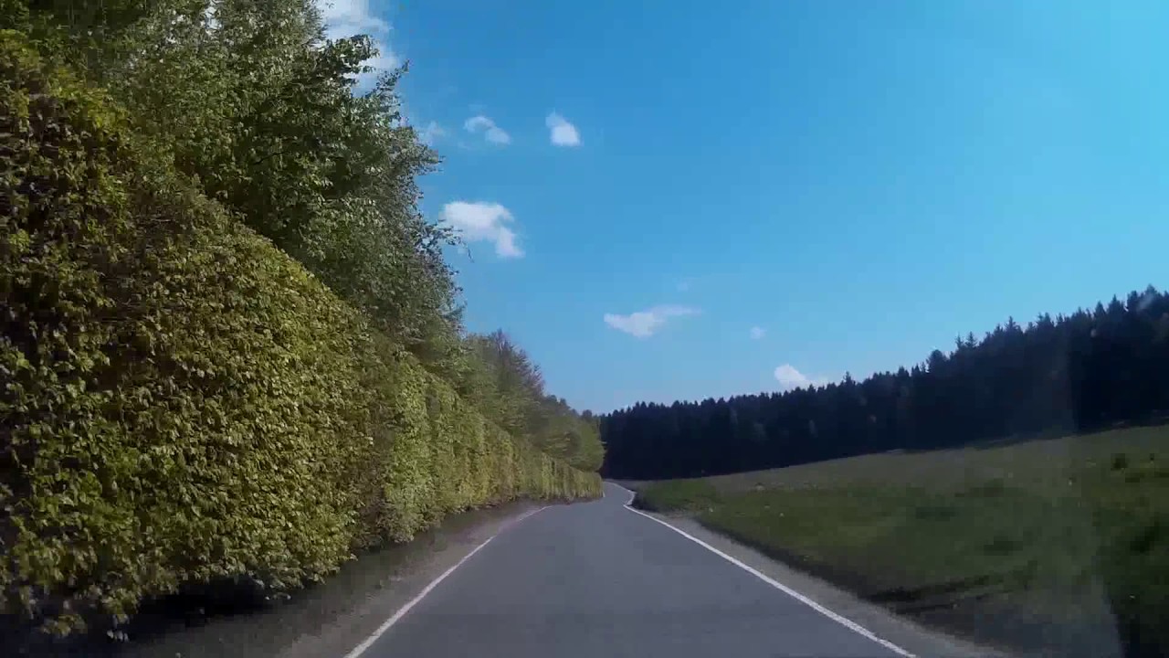 May Drive To Walk In The Bluebell Woods Kinclaven Perthshire Scotland ...