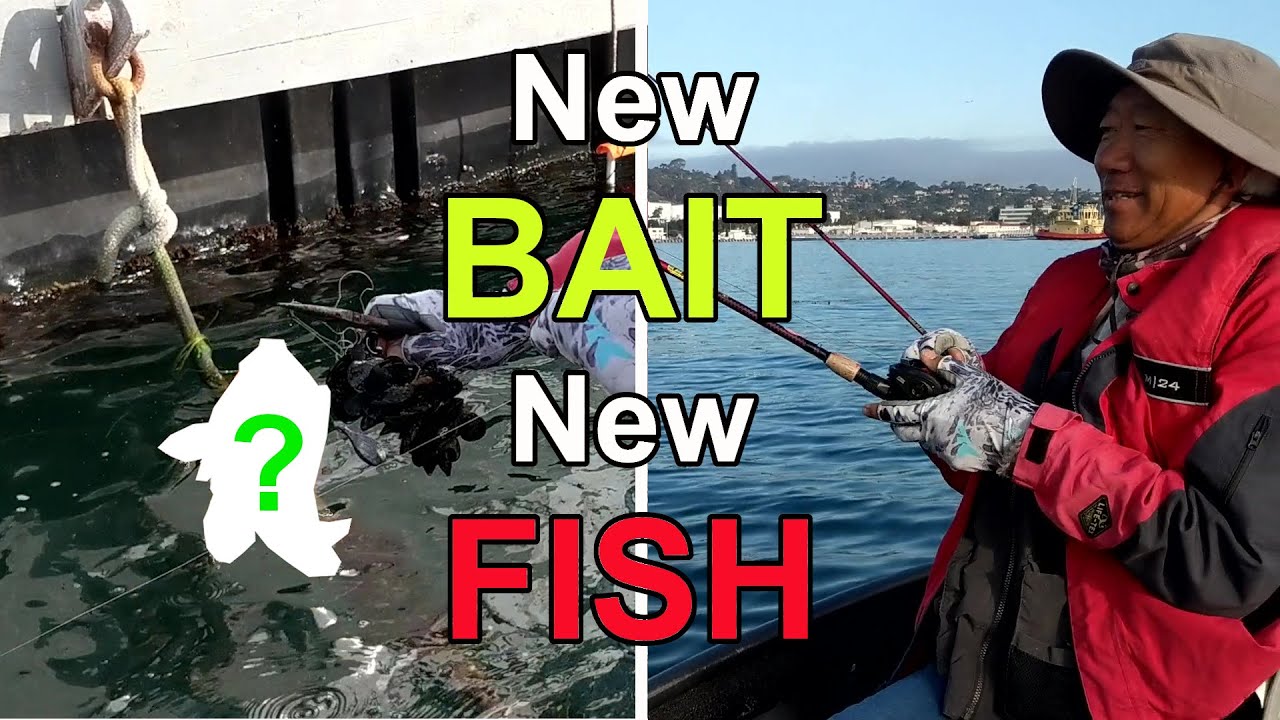 [Eng Subtitle] DISCOVERED a NEW BAIT and got an $1000 FISH -- the ...