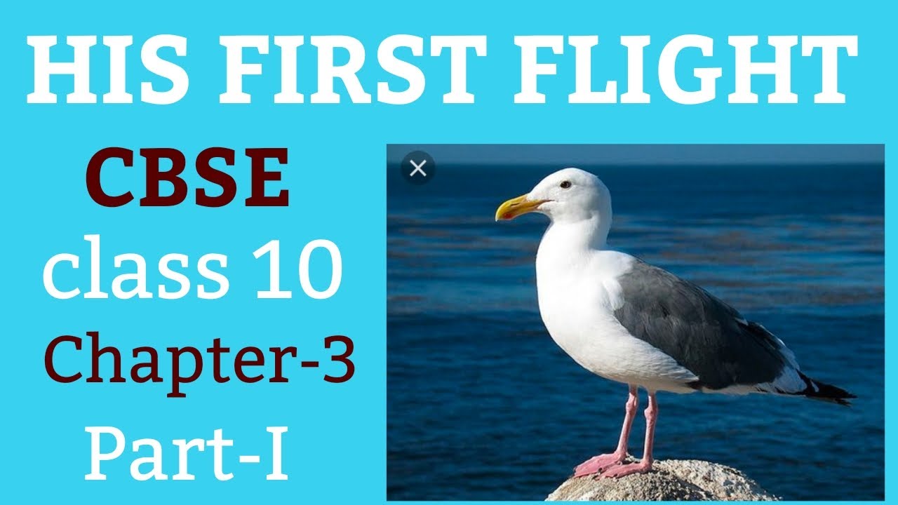 His First Flight | Class 10 | Two Stories About Flying | CBSE ...
