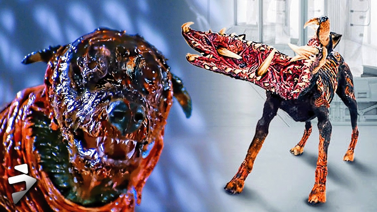 RESIDENT EVIL Zombie Dogs Attack | Cerberus Evolution - YouTube