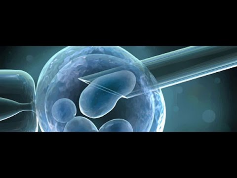 Embryo Transfer in Cattle - YouTube