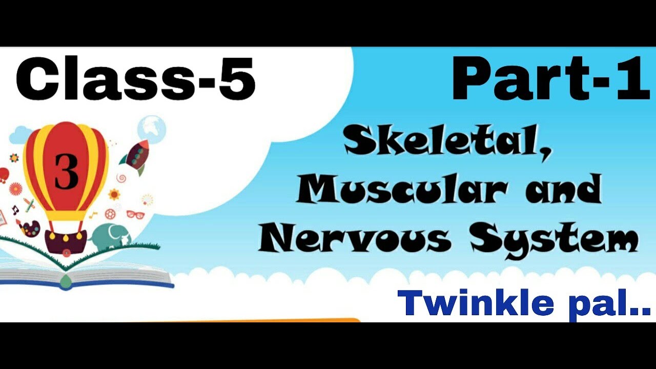 Class-5.. Science.. Chapter 3(Skeletal, muscular and nervous system ...