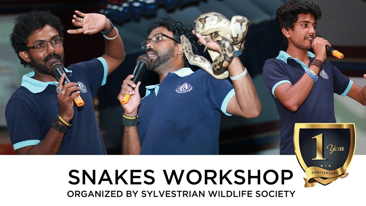 1 st Year Anniversary Programme | Snakes Workshop - YouTube