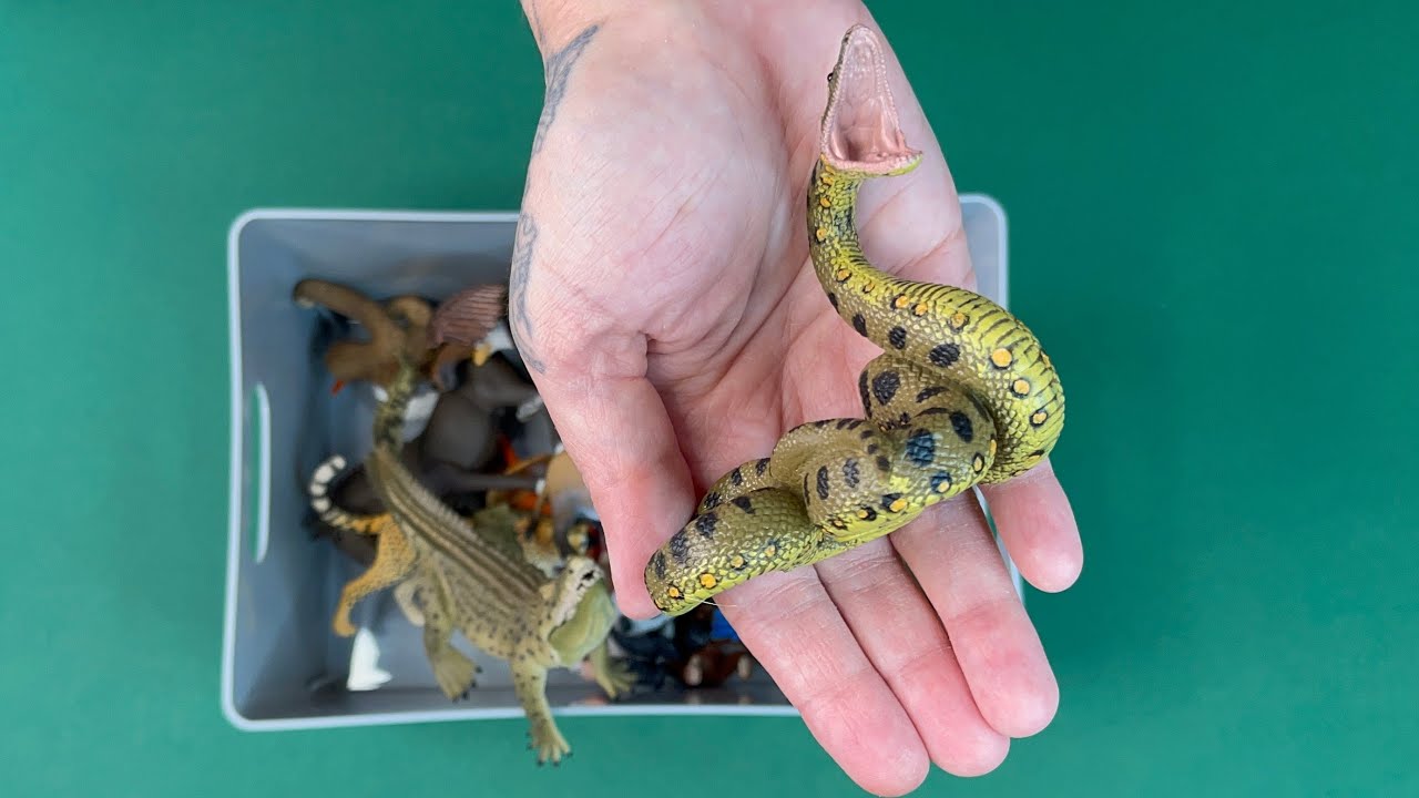 New animal toys | red river hog | ostrich |slow loris | fennec fox ...