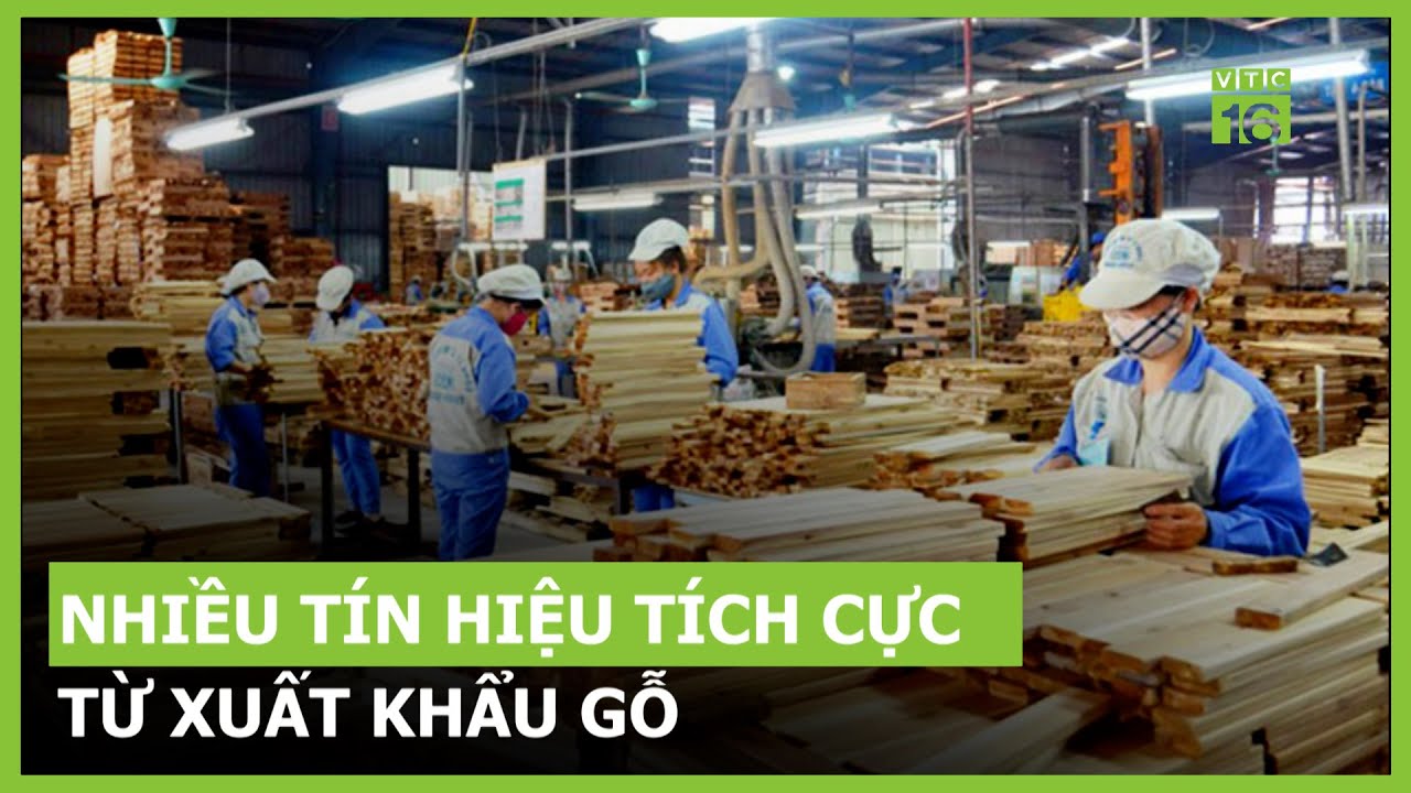 Nhiều tín hiệu tích cực từ xuất khẩu gỗ | VTC16 - YouTube