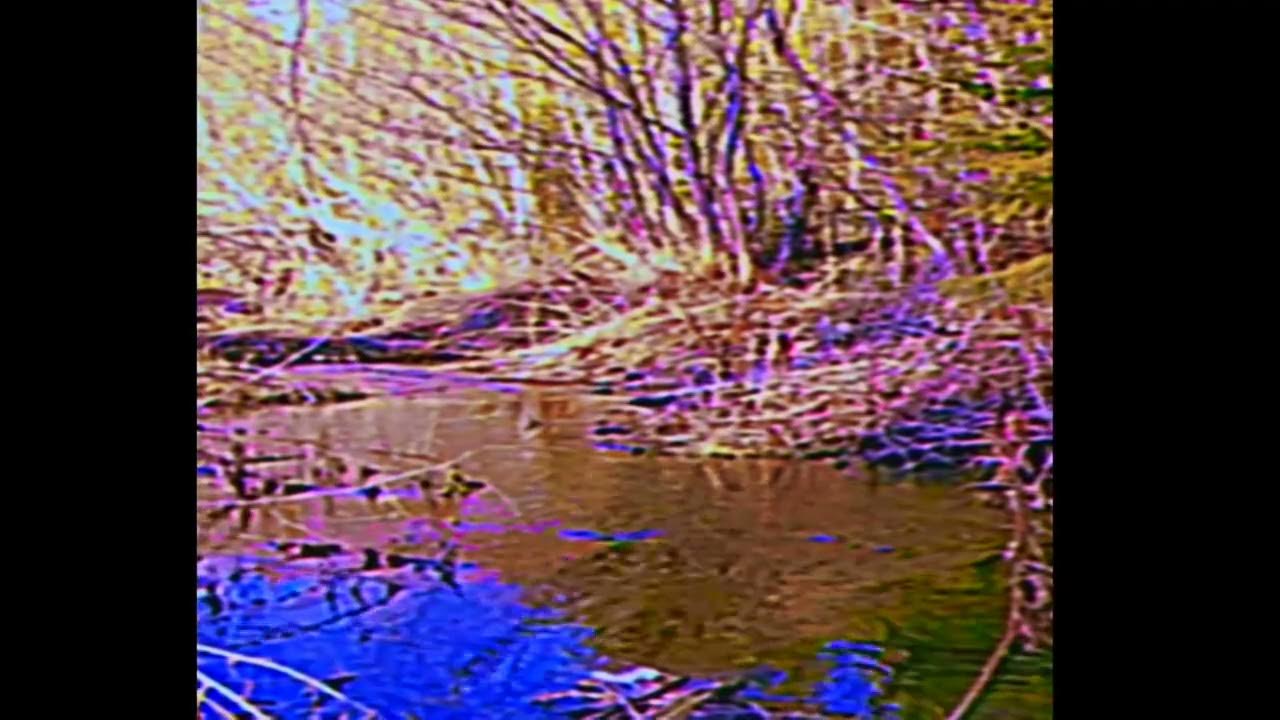 It s Too Cold To Swim In The Creek YouTube it-s-too-cold-to-swim-in-the-creek-youtube