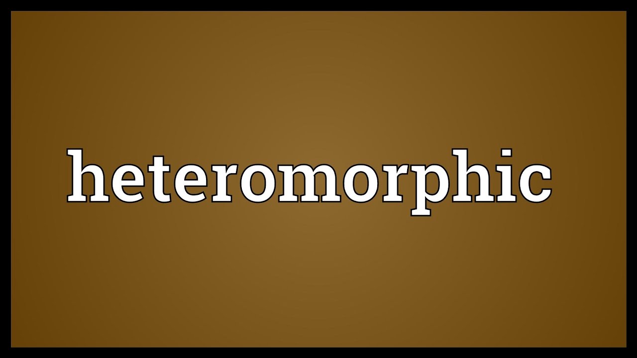 Heteromorphic Meaning - YouTube