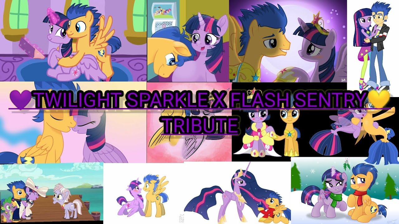 Twilight Sparkle X Flash Sentry Tribute (Happy Valentine Day Special 2 ...