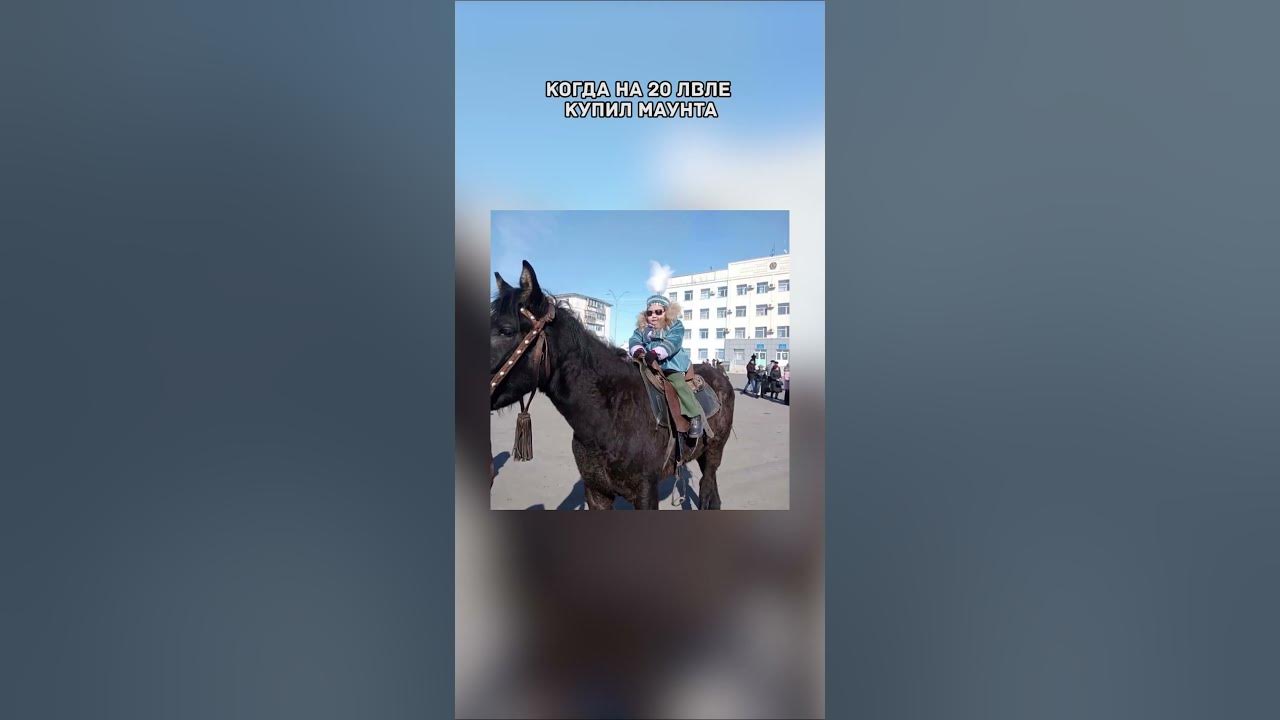 Маунт в вов на 20-м лвл - YouTube