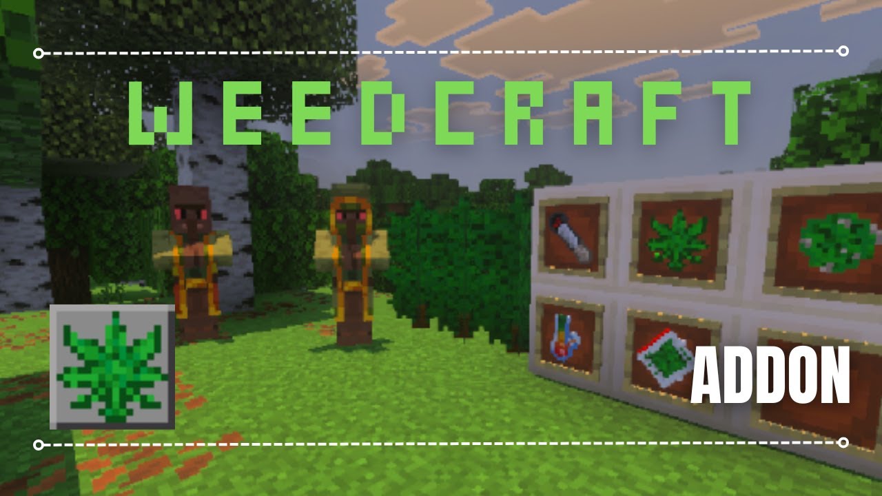 WEEDCRAFT ADDON a maldita erva no MINECRAFT BEDROCK/PE - YouTube