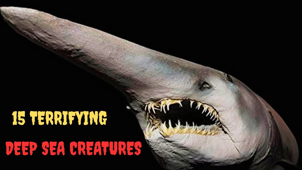 15 Most Terrifying Deep Sea Creatures Ever Discovered - YouTube