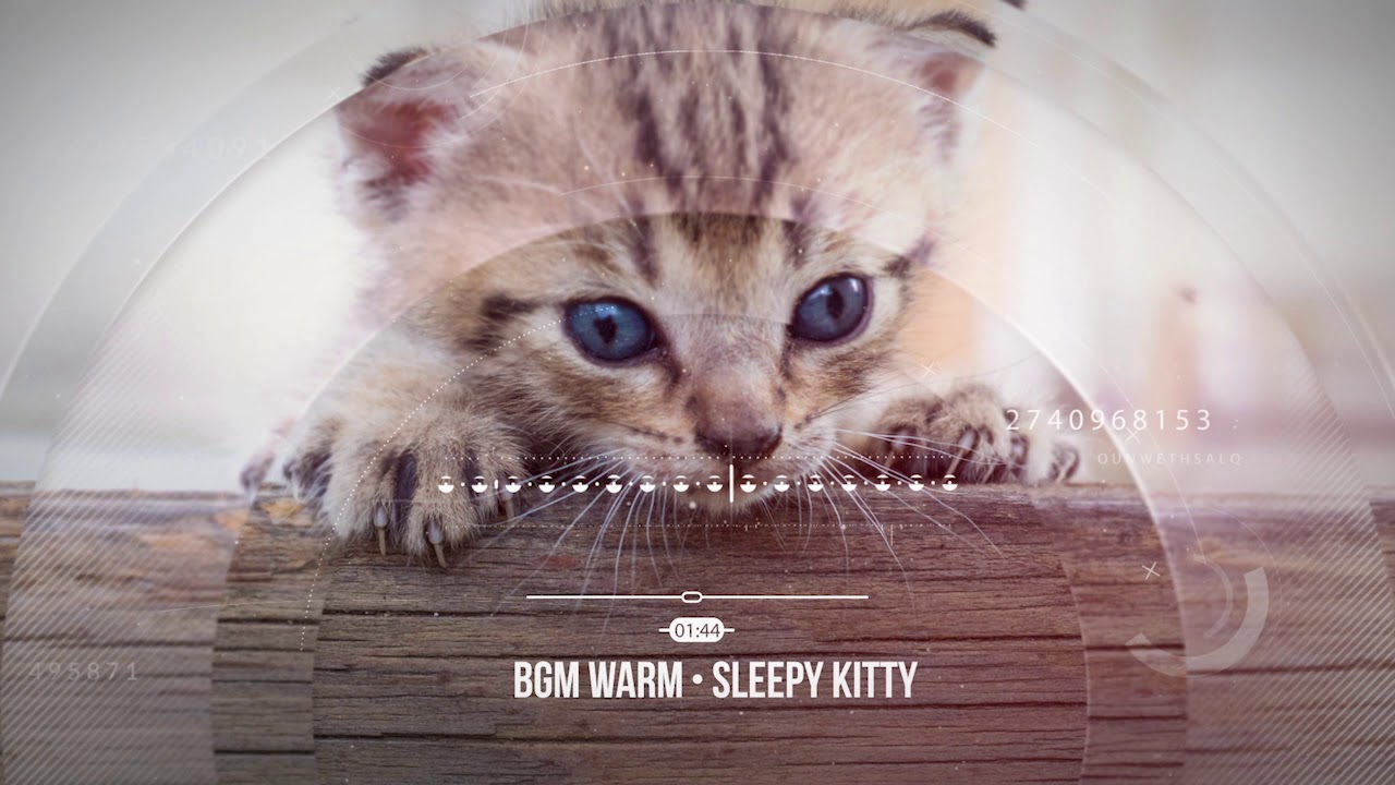 🎧Warm bgm♫Sleepy Kitty♫UmbrTone-No Copyright Music - YouTube