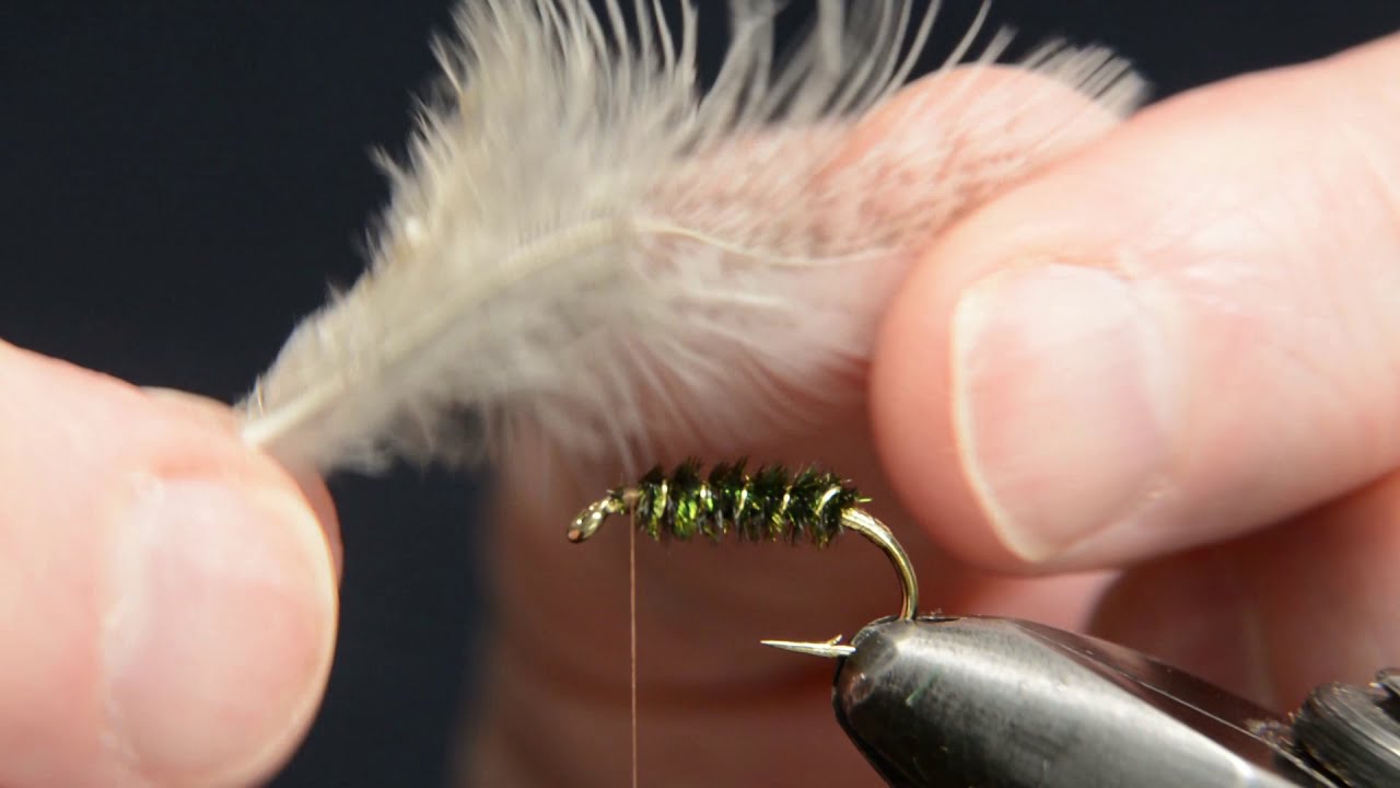 Så enkelt binder du en Leadwing Coachman Wet Fly - YouTube