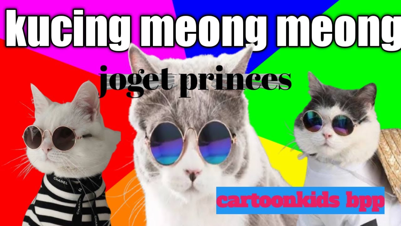 Kucing meong meong | kucing lucu | lagu anak Indonesia | kucing ...