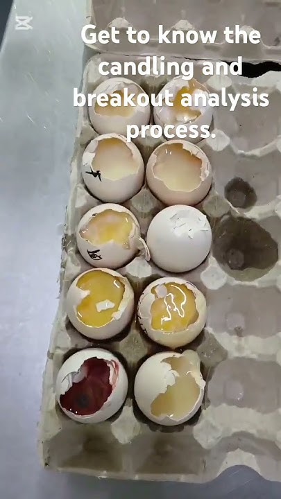 Get to know the candling and breakout analysis process. - YouTube