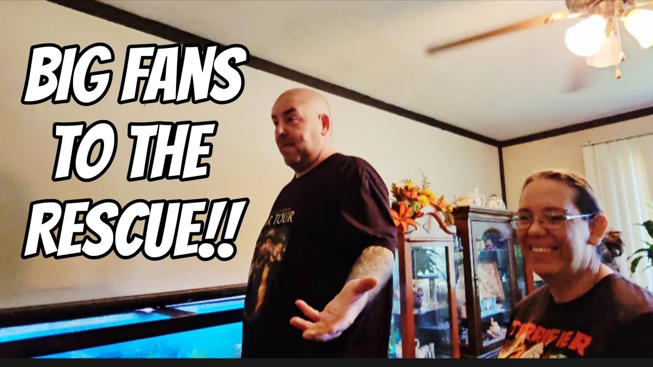 Big Fans to the Rescue!! - YouTube