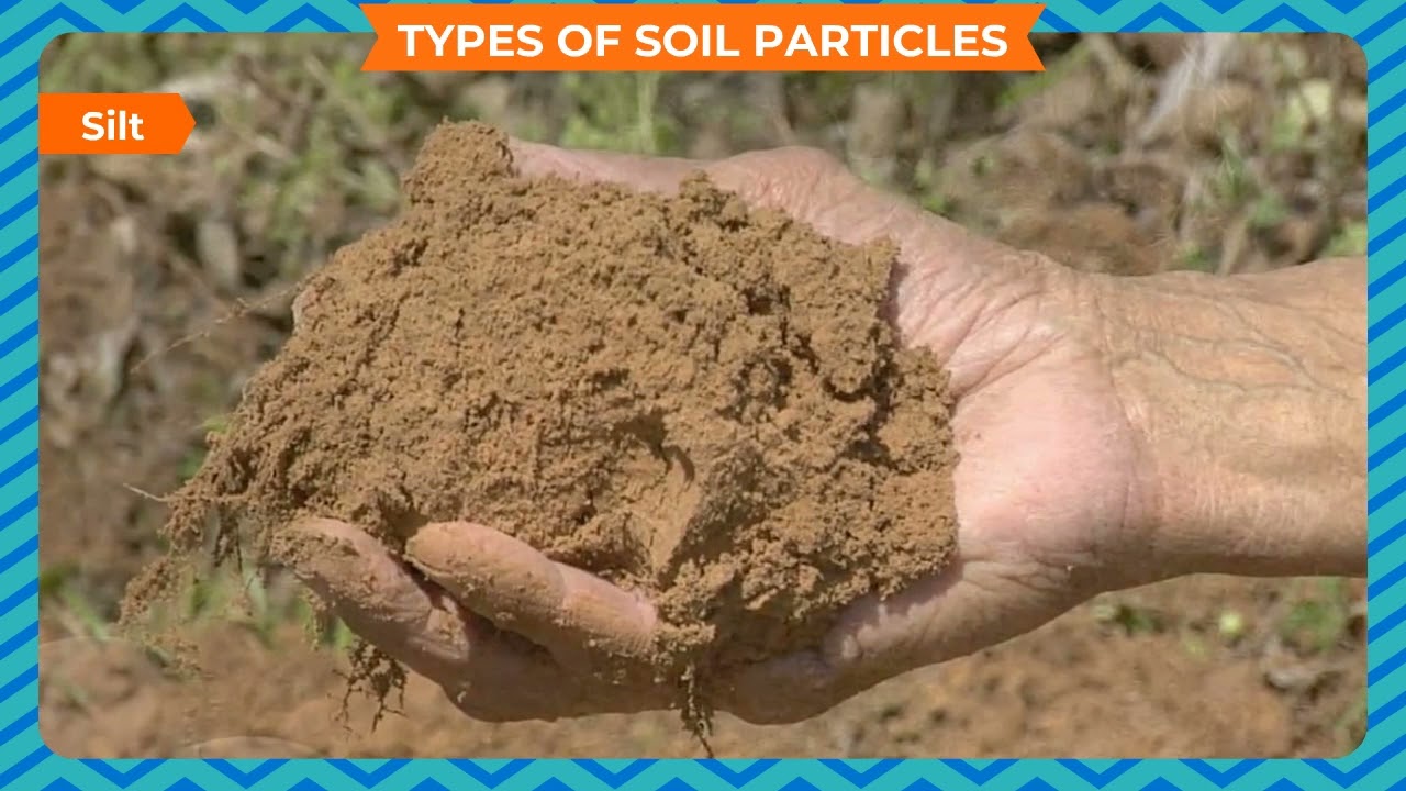 SOIL CLASS 7 YouTube soil-class-7-youtube