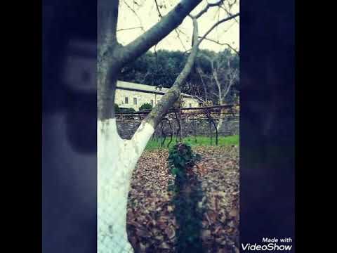 Simono petras Monastery ☦️