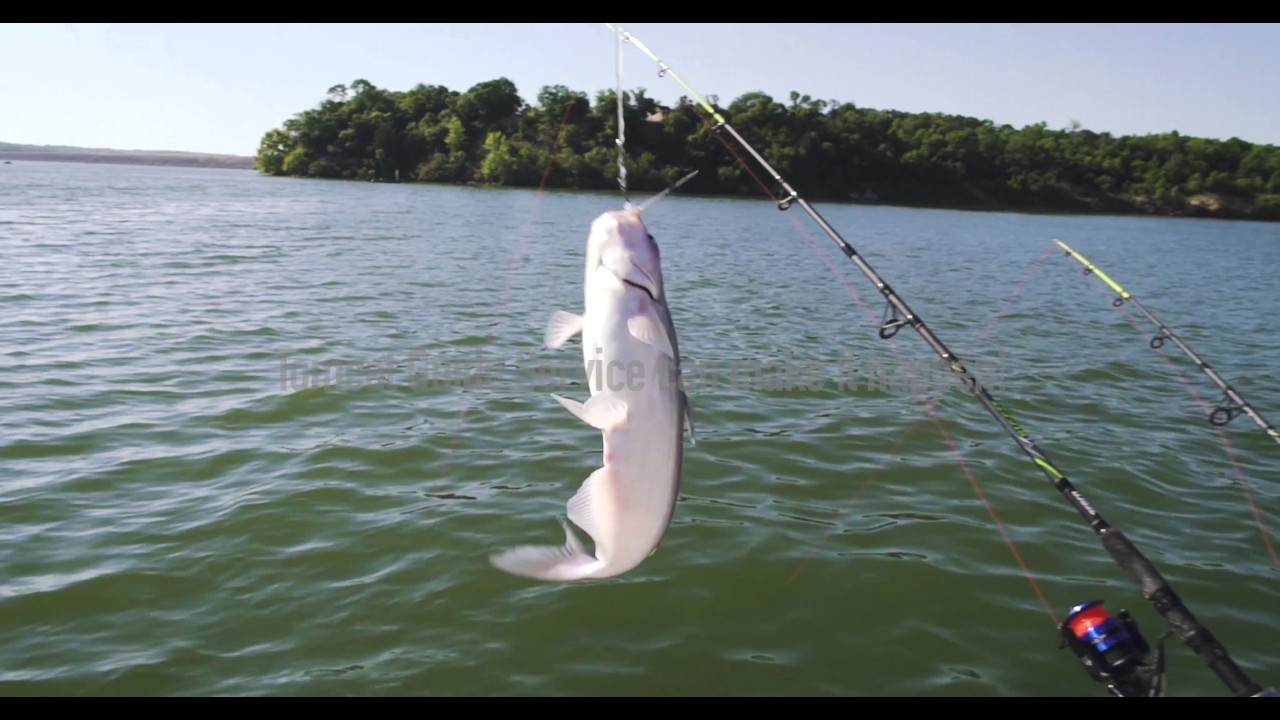 Tom Cat Guide Service - YouTube