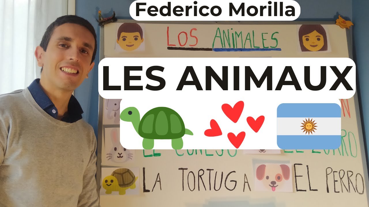 Le vocabulaire des animaux : apprenez-les avec des images - YouTube