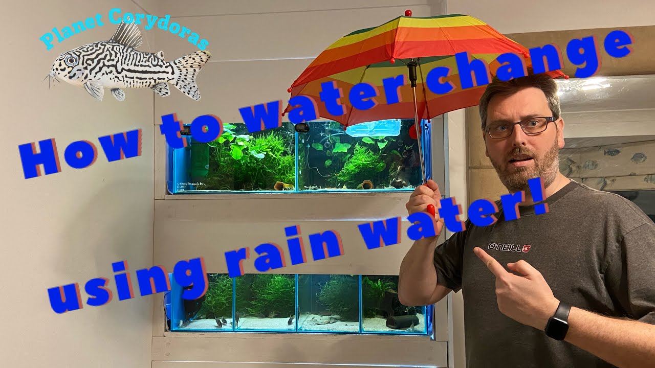 How to water change using rain water - YouTube