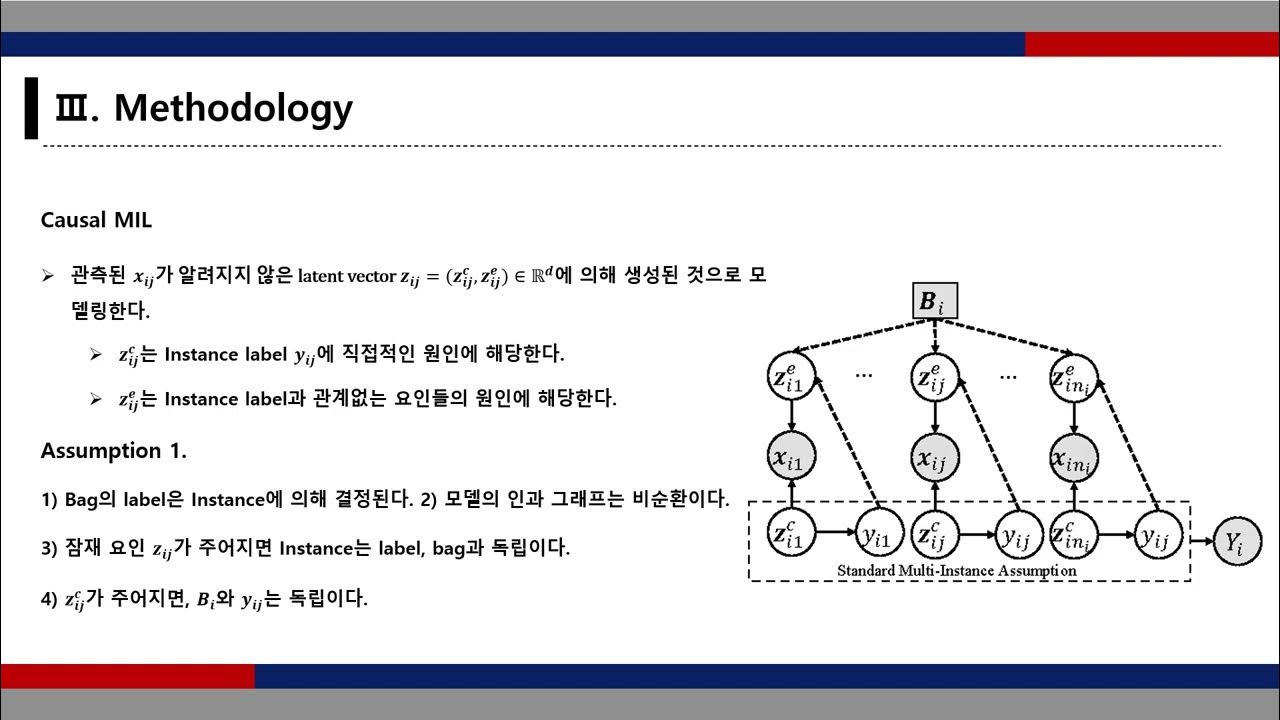 [DS Interface] Multi-Instance Causal Representation Learning for Instance Label Prediction and ...