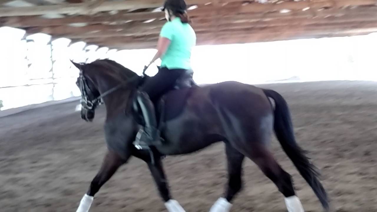 Staccato, Danielle & Lilo Fore! - YouTube