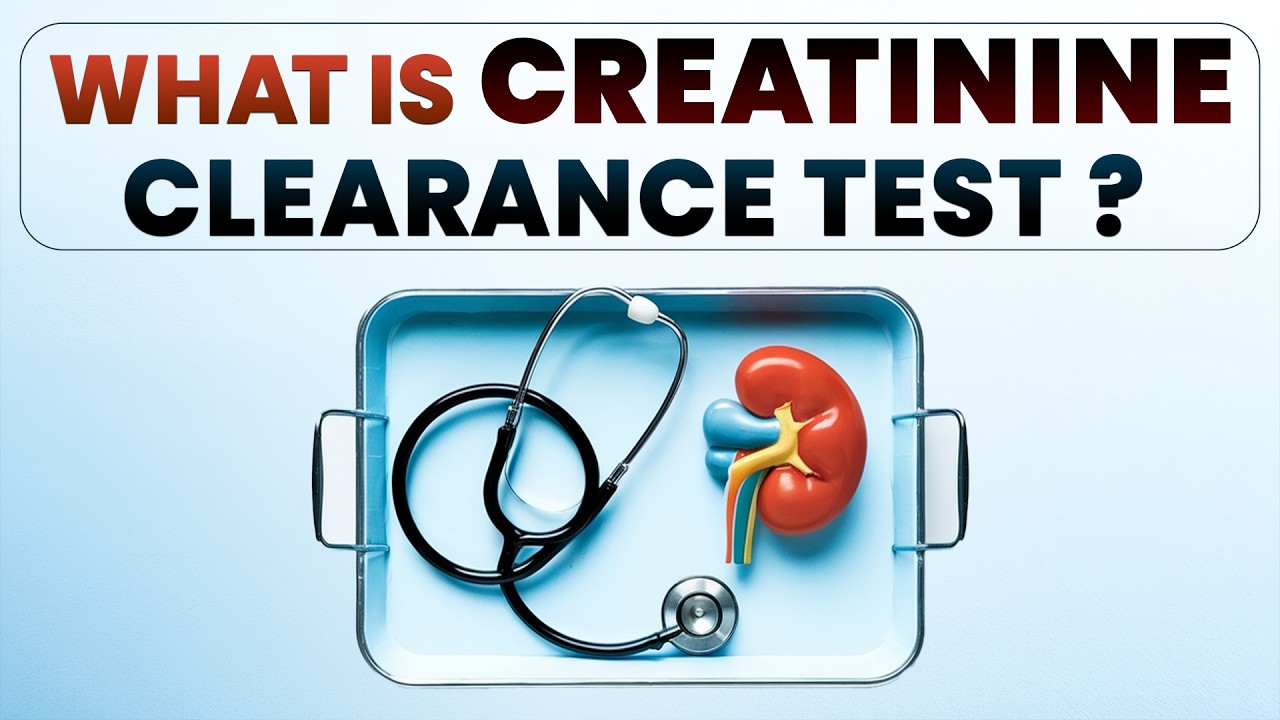 What Is CREATININE Clearance Test Explained Simply? - YouTube