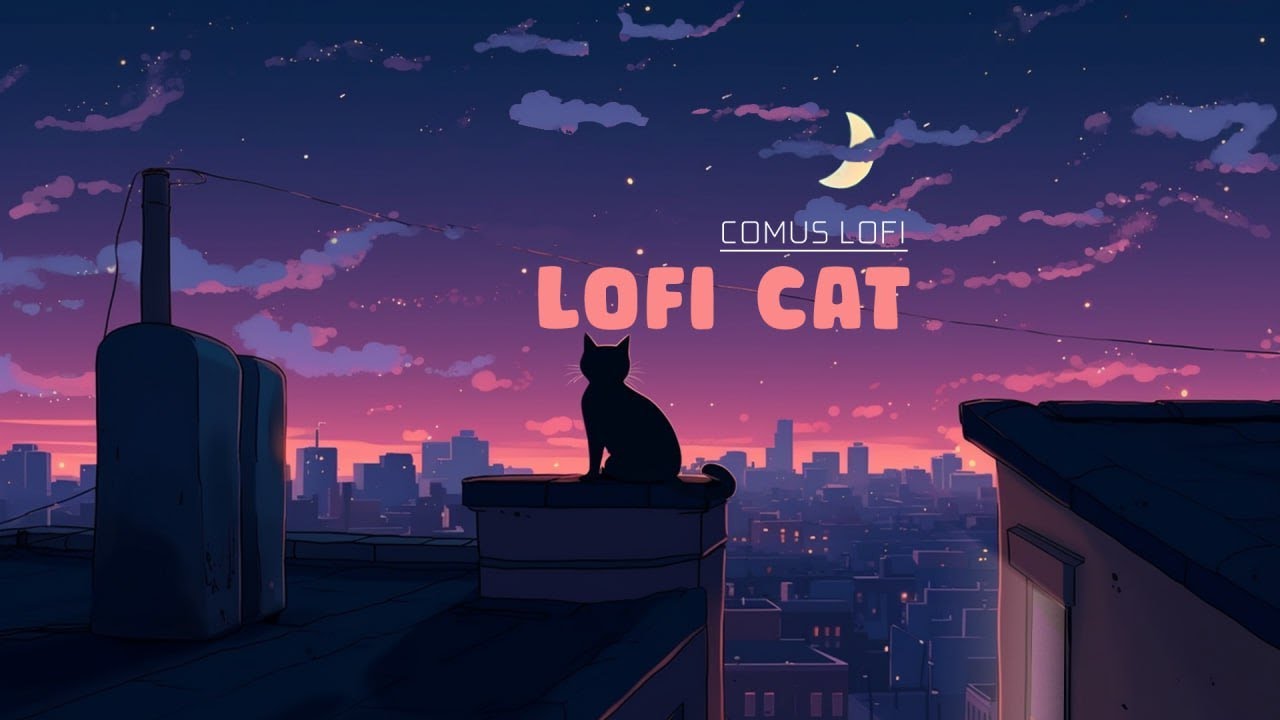 Lofi cat 🎶🎶 | chill beats to relax/study to - YouTube