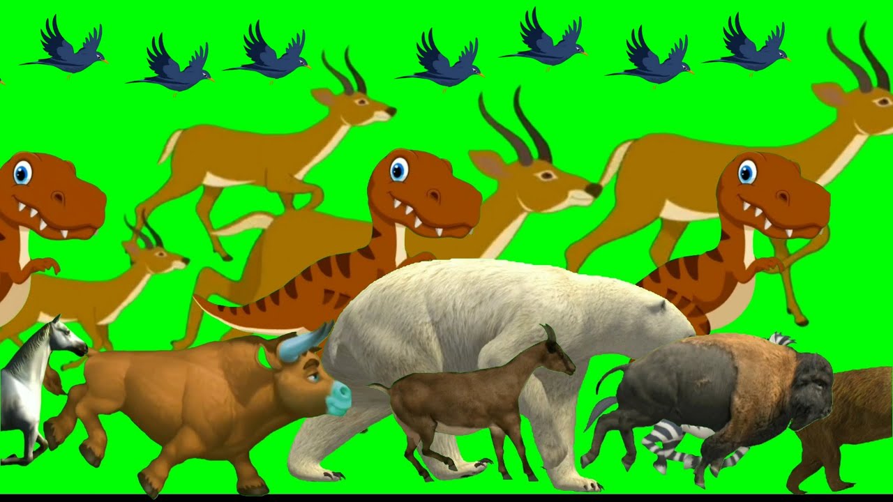 Dinosaur Elephant Hippo Cow Horse Bull Giraffe animal stampede video ...