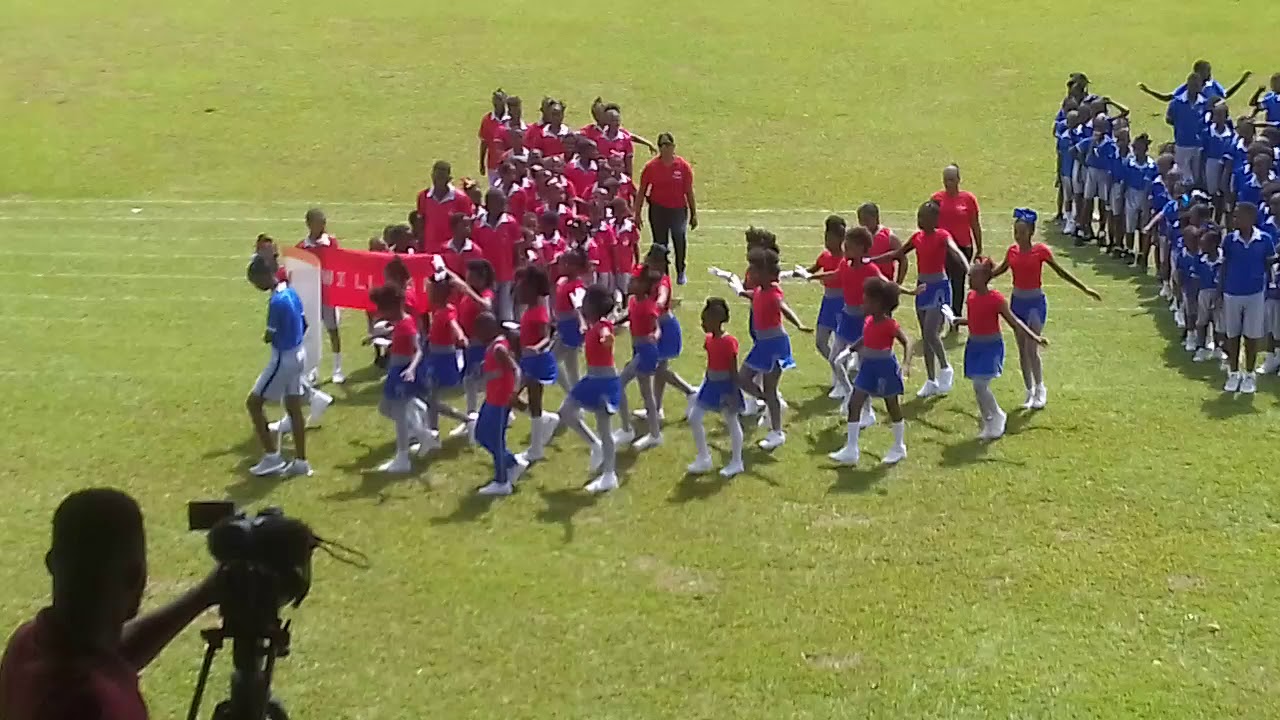Colourful display of Gordon and Walcott Primary school cheer group ...