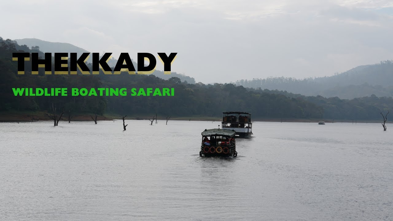 THRILLING BOATING AT THEKKADY|PERIYAR TIGER RESERVE|THEKKADY|WILD ...