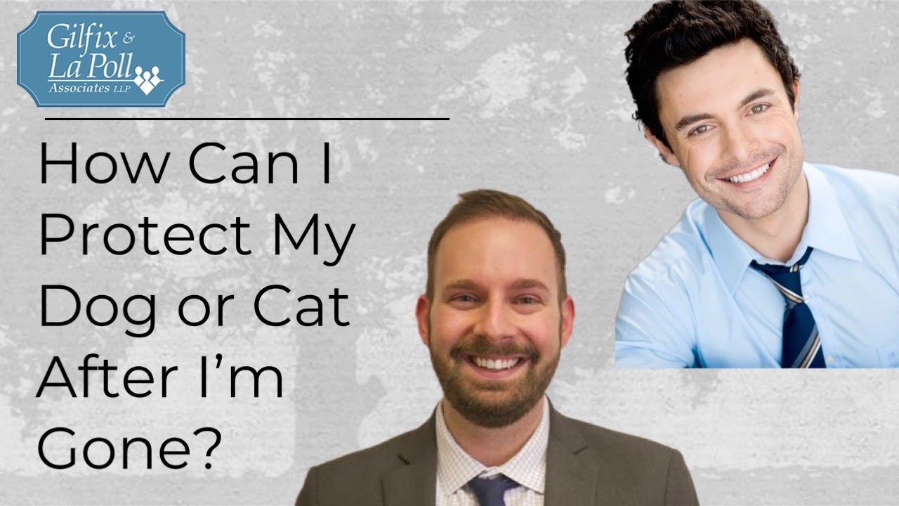 Estate Plan for my Dog or Cat? How to Protect your Dog or Cat After You ...