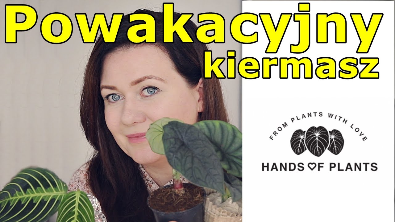 Za co lubię HoP, a za co nie? 🧐 Nowa paczka, nowy unboxing 😁 Kiermasz ...