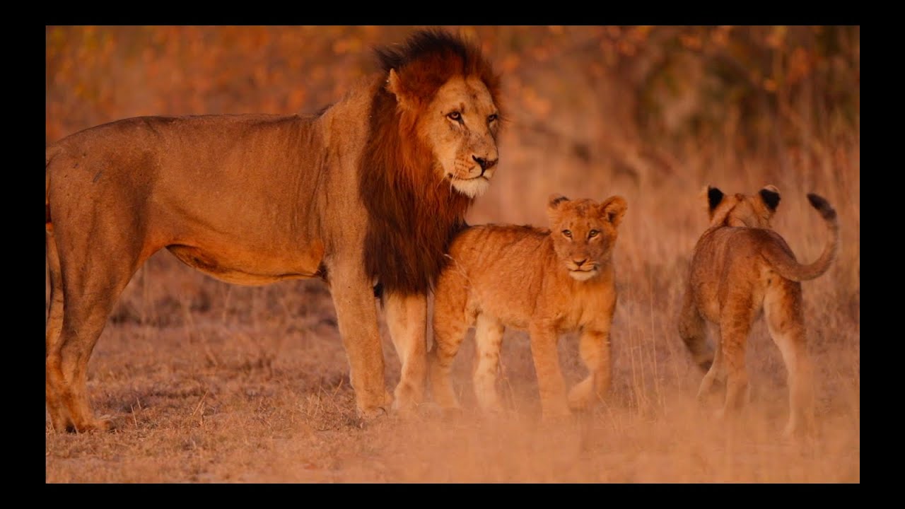 THE FOURWAYS PRIDE - YouTube