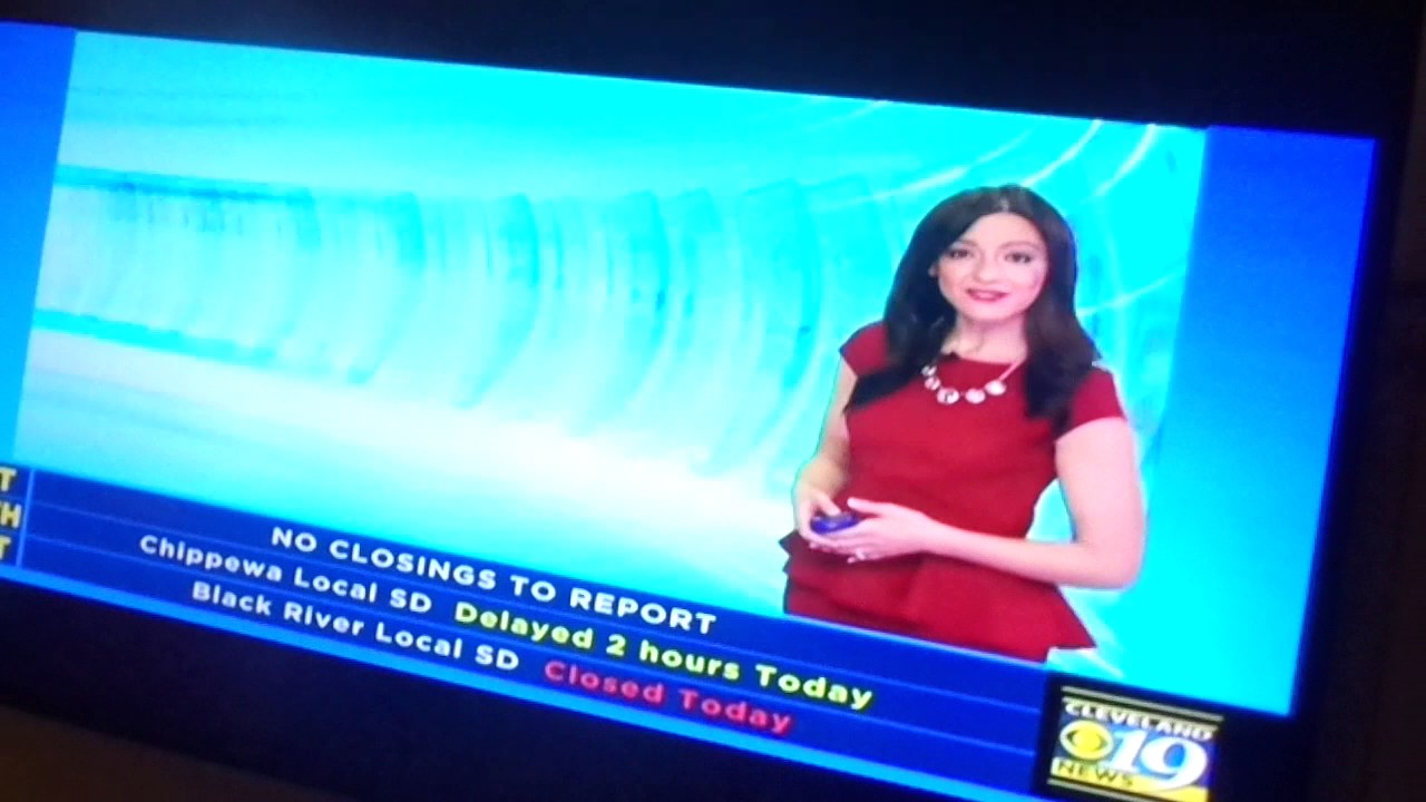 Samantha Roberts on Cleveland 19 news - YouTube