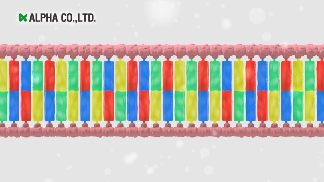 DNA Repair Animation 01 | アニメーション制作のウゴモーション - YouTube