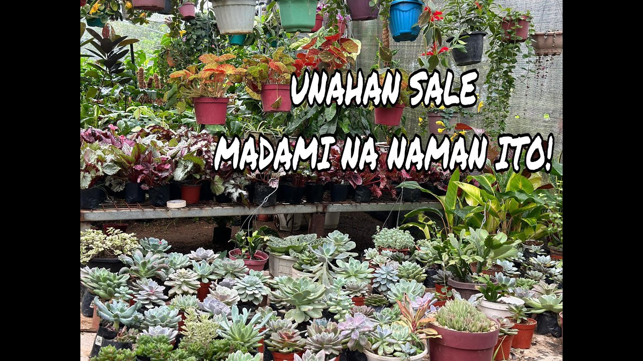 UNAHAN SA SALE DITO LAGING BAGO! - YouTube