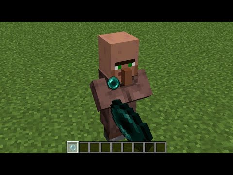 what's inside the villager? - YouTube