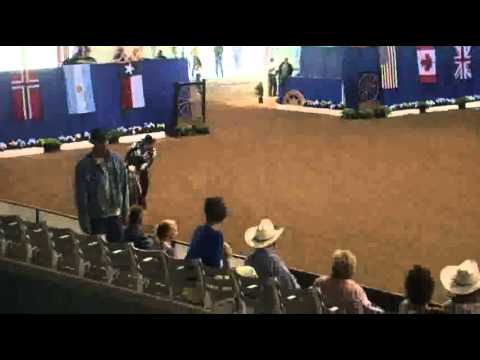 Video of A Lil Chantilly Lace ridden by Emily Winegar from ShowNet ...