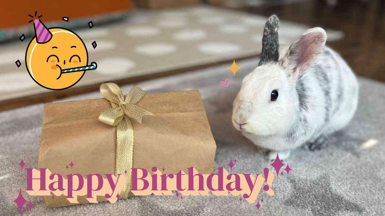 Celebrate my Bunny's Birthday with Us! - YouTube
