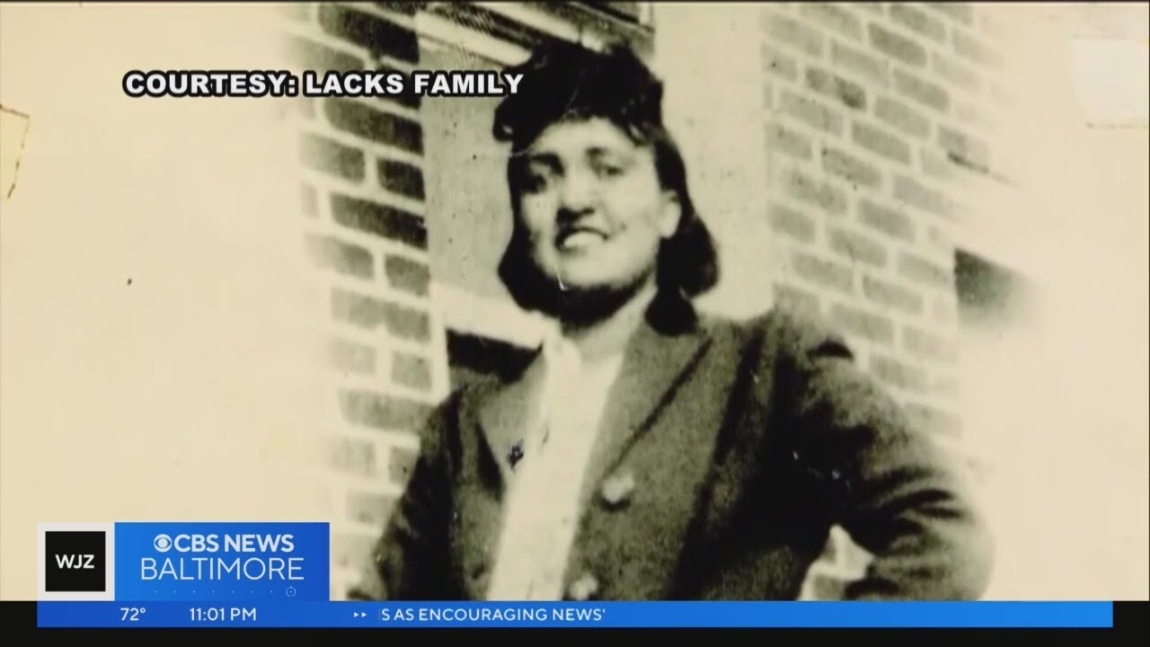 Henrietta Lacks' family in court fighting for settlement over immortal ...