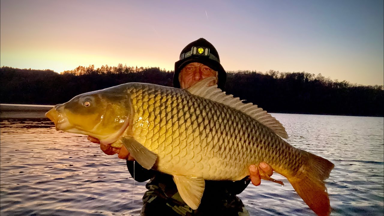ONLY MEMBERS Stream carp fishing lov kapra karpfen angeln #fishhobo # ...