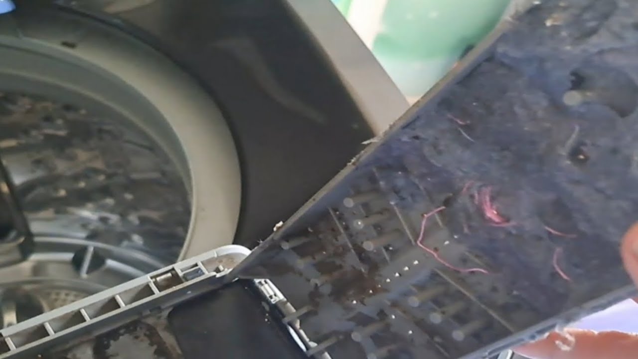 LETS ALL WATCH AUNTY WASH AND CLEAN THE WASHING MACHINE 🫡 - YouTube