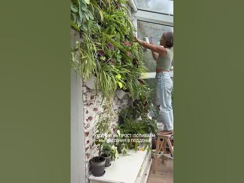 ЗЕЛЕНАЯ СТЕНА ИЗ ЖИВЫХ РАСТЕНИЙ - YouTube